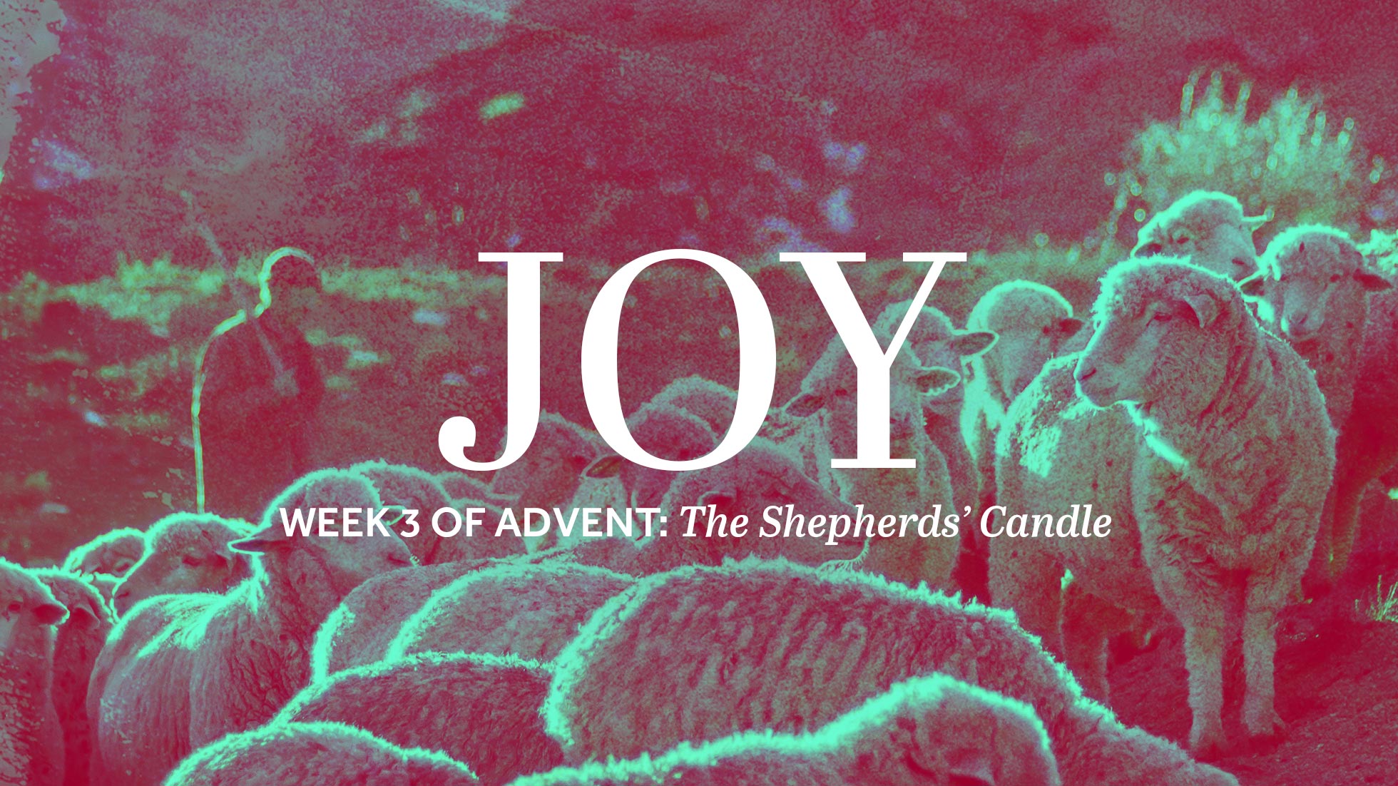 Multiplying Disciples & Churches | e3 Partners Ministry